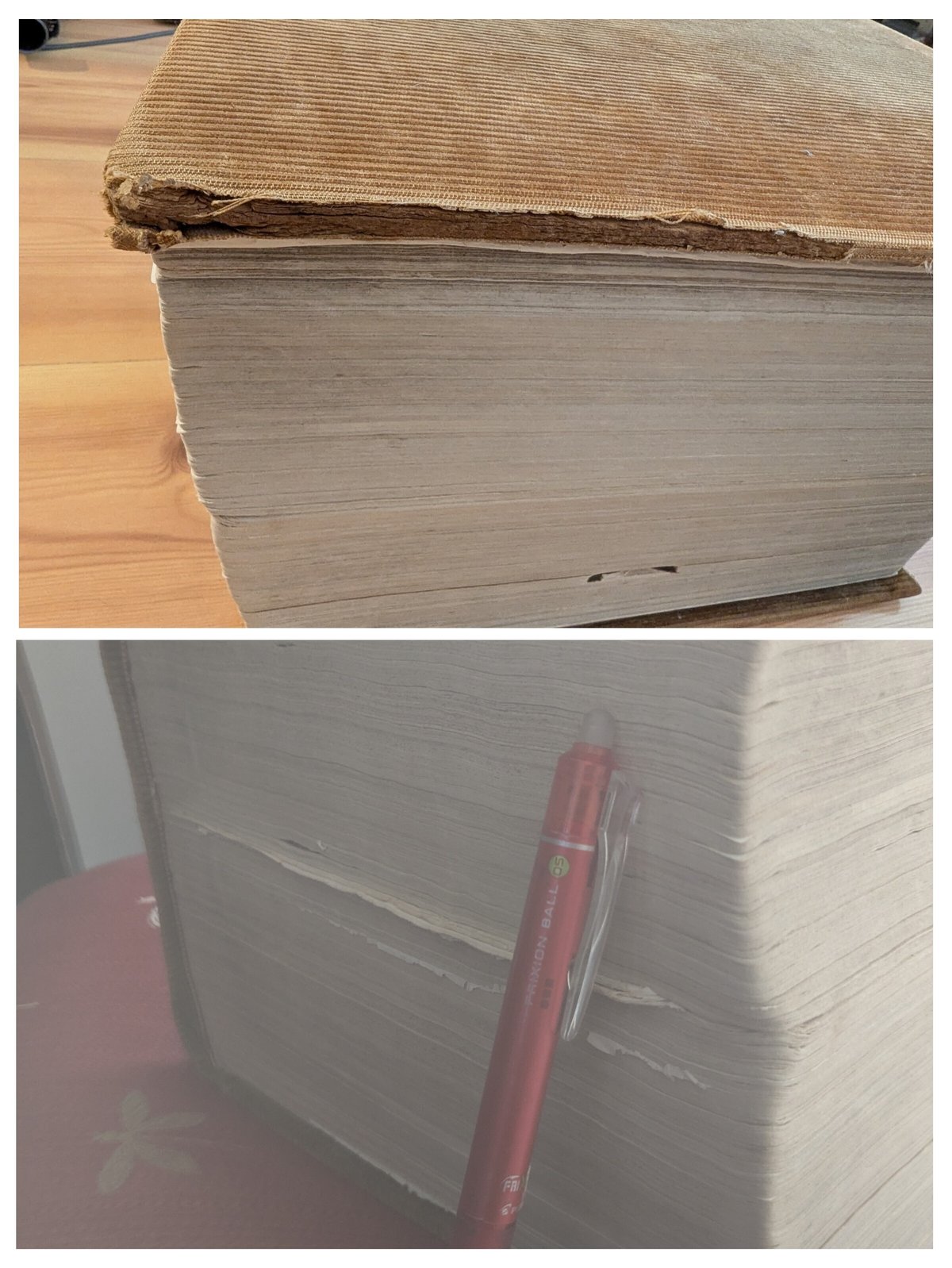 What does slang mean in the first place??「そもそもスラングってどういう意味？」｜Chuna