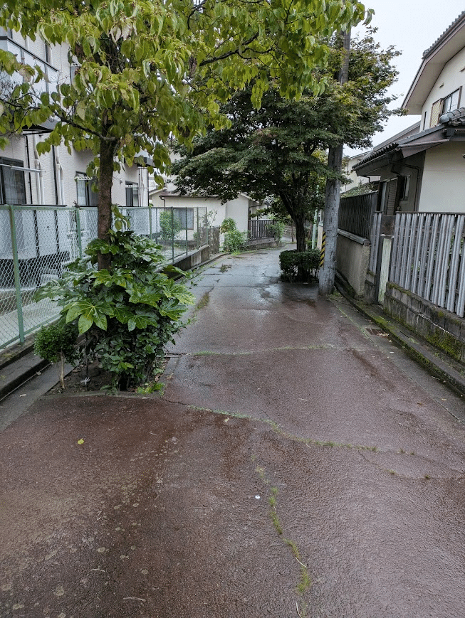 外猫TNR活動の赤字構造と転売ヤー問題をデータで可視化する | ルールを守らない人が存在する環境は悪化する好事例｜東北イタコ（Tohoku I-ST）