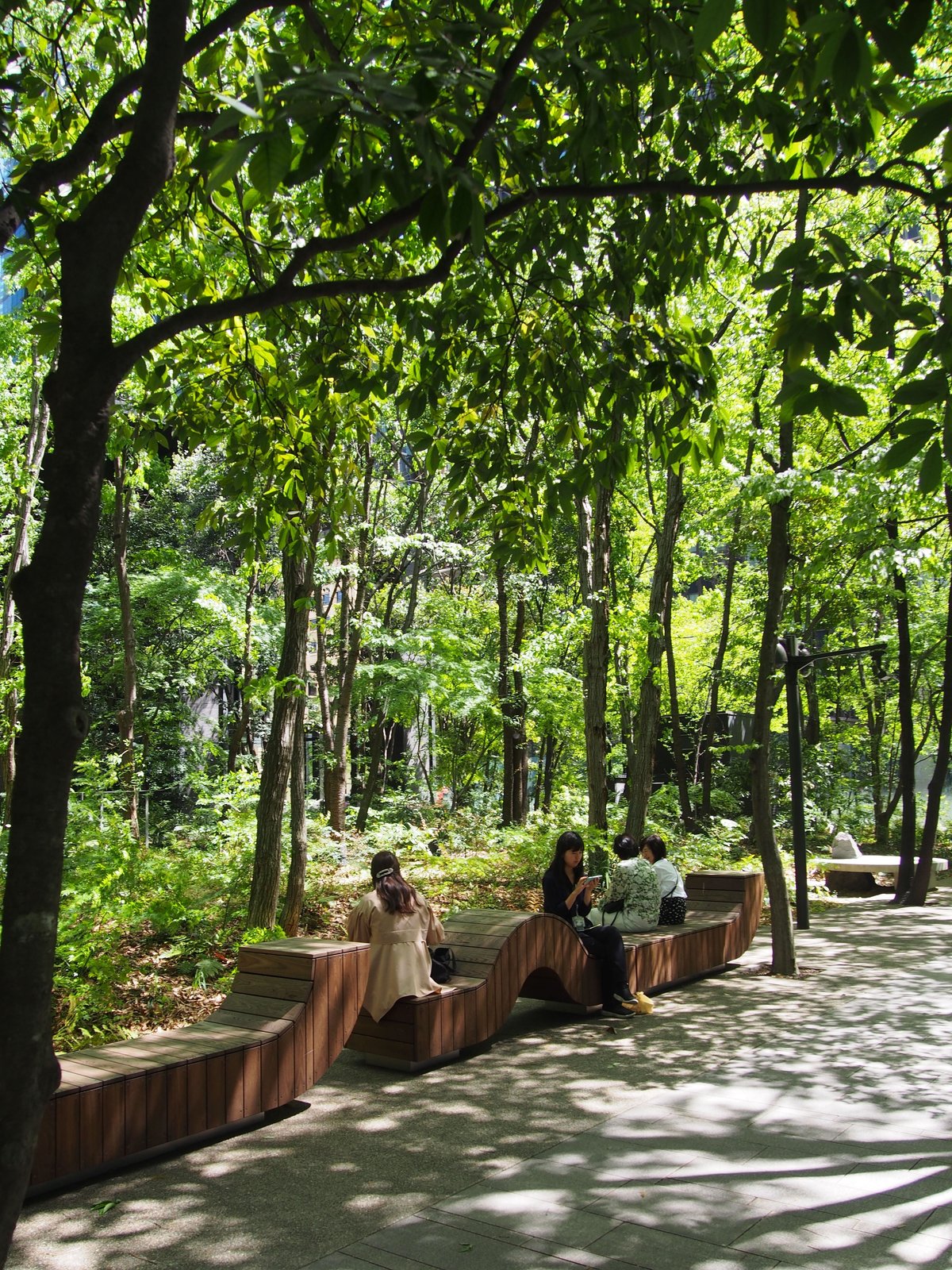 大都会に本物の森を作るプロジェクト。大手町の森。｜niwa_emon