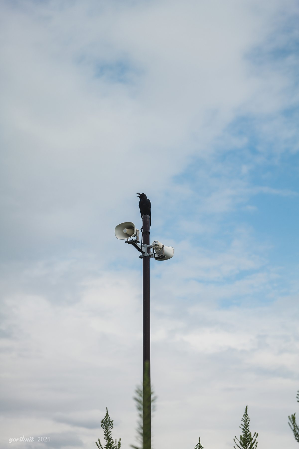 65mmが好き。 ｜ Leica SL2｜yoriknit