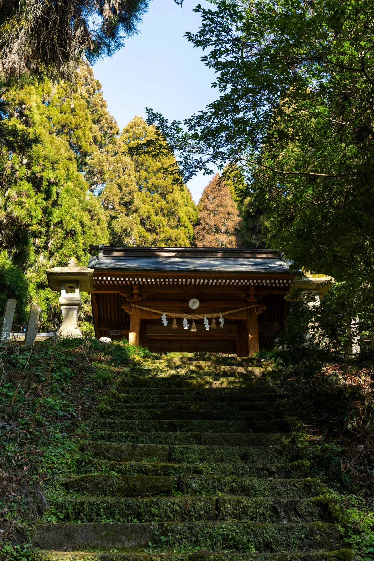 【神社編】日本の神道って？歴史と考え方をやさしく解説｜taka555
