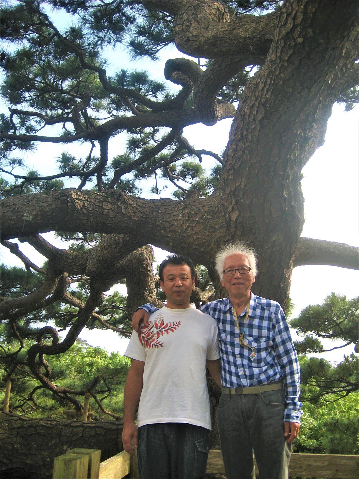 五枝の松｜telulu_okinawa