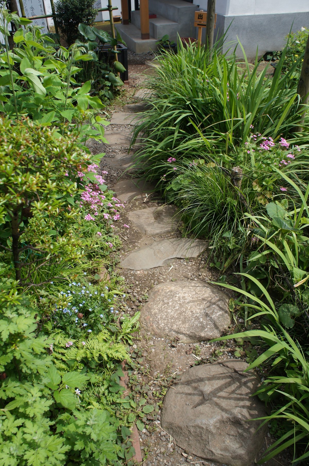 座って寝転んで。正岡子規の視線で眺める、子規庵の庭。｜niwa_emon