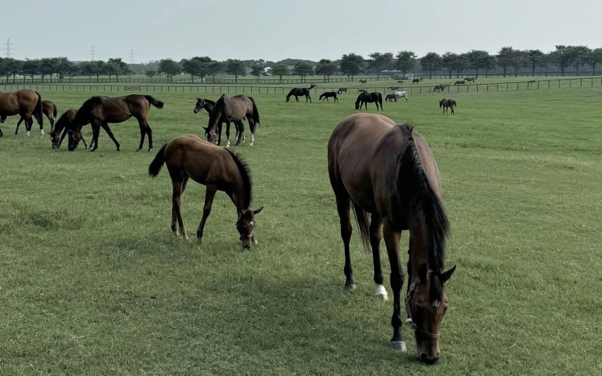 自己紹介｜30代女｜旅行｜はじめてのnote｜Hiroko