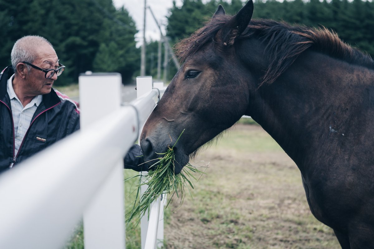 [旅行記]下北半島と青森周辺 1｜Hiro Oaks / 日々の雑感