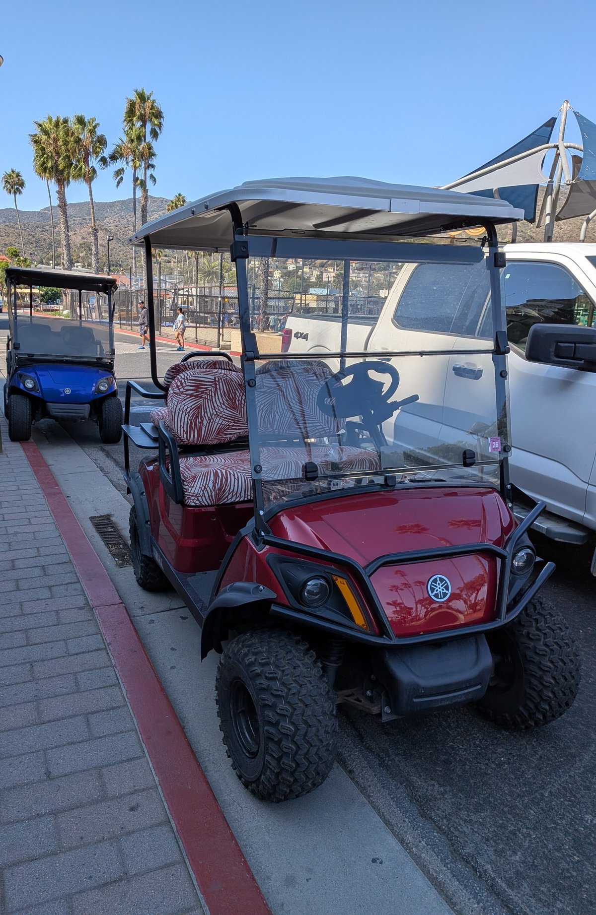 【ロサンゼルス旅行記 #2】アメリカのアマルフィ？「カタリナ島」と高級住宅地「バルボア島」｜Lilo tabi