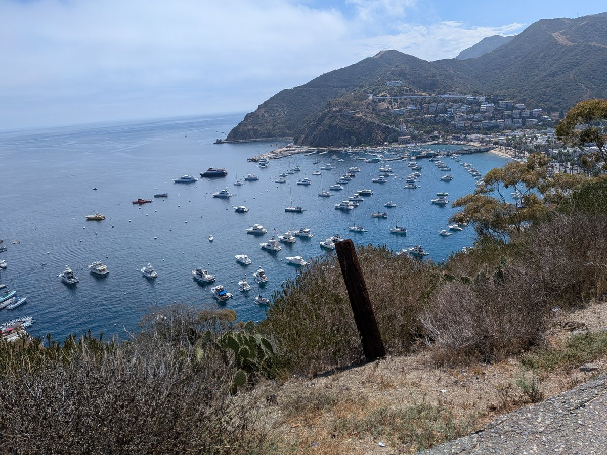 【ロサンゼルス旅行記 #2】アメリカのアマルフィ？「カタリナ島」と高級住宅地「バルボア島」｜Lilo tabi