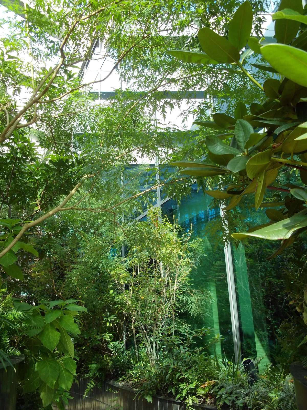 高輪ゲートウェイにできた個性強めの屋上庭園、LUFTBAUM。｜niwa_emon