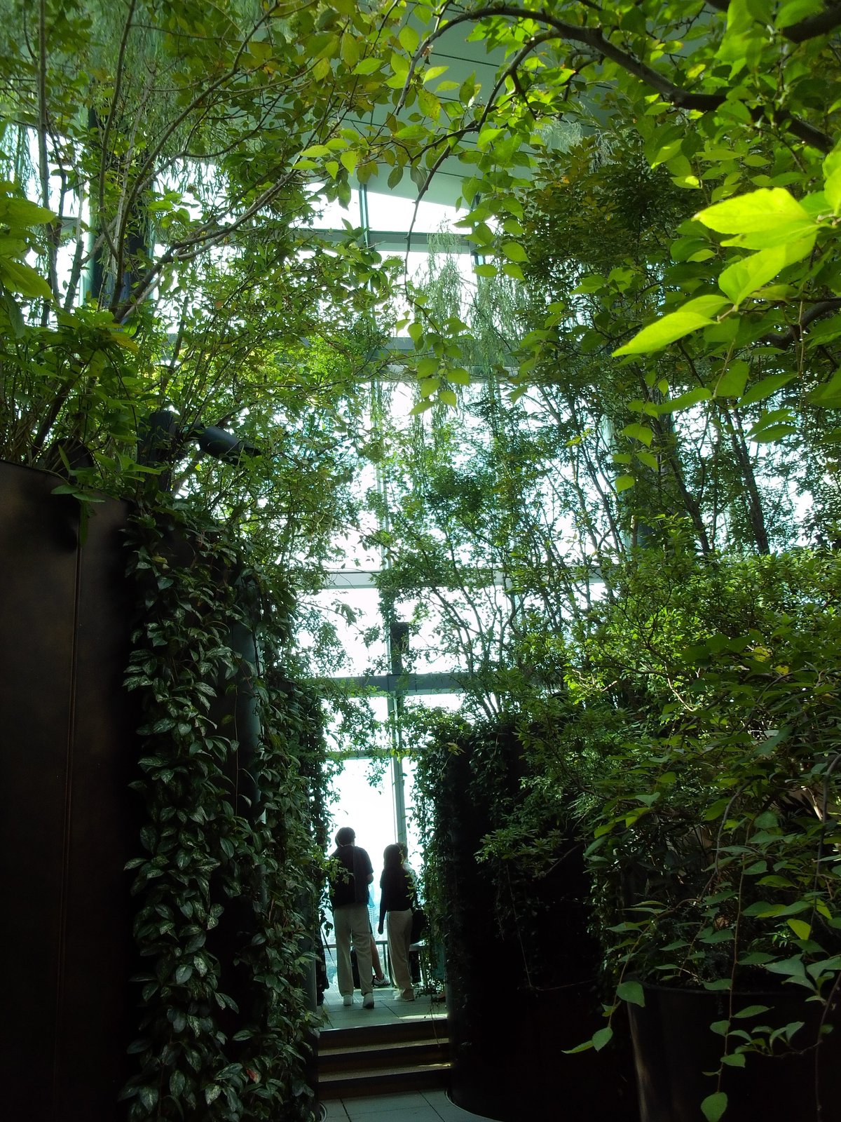 高輪ゲートウェイにできた個性強めの屋上庭園、LUFTBAUM。｜niwa_emon