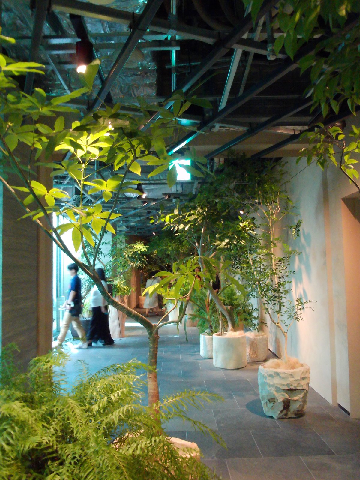 高輪ゲートウェイにできた個性強めの屋上庭園、LUFTBAUM。｜niwa_emon