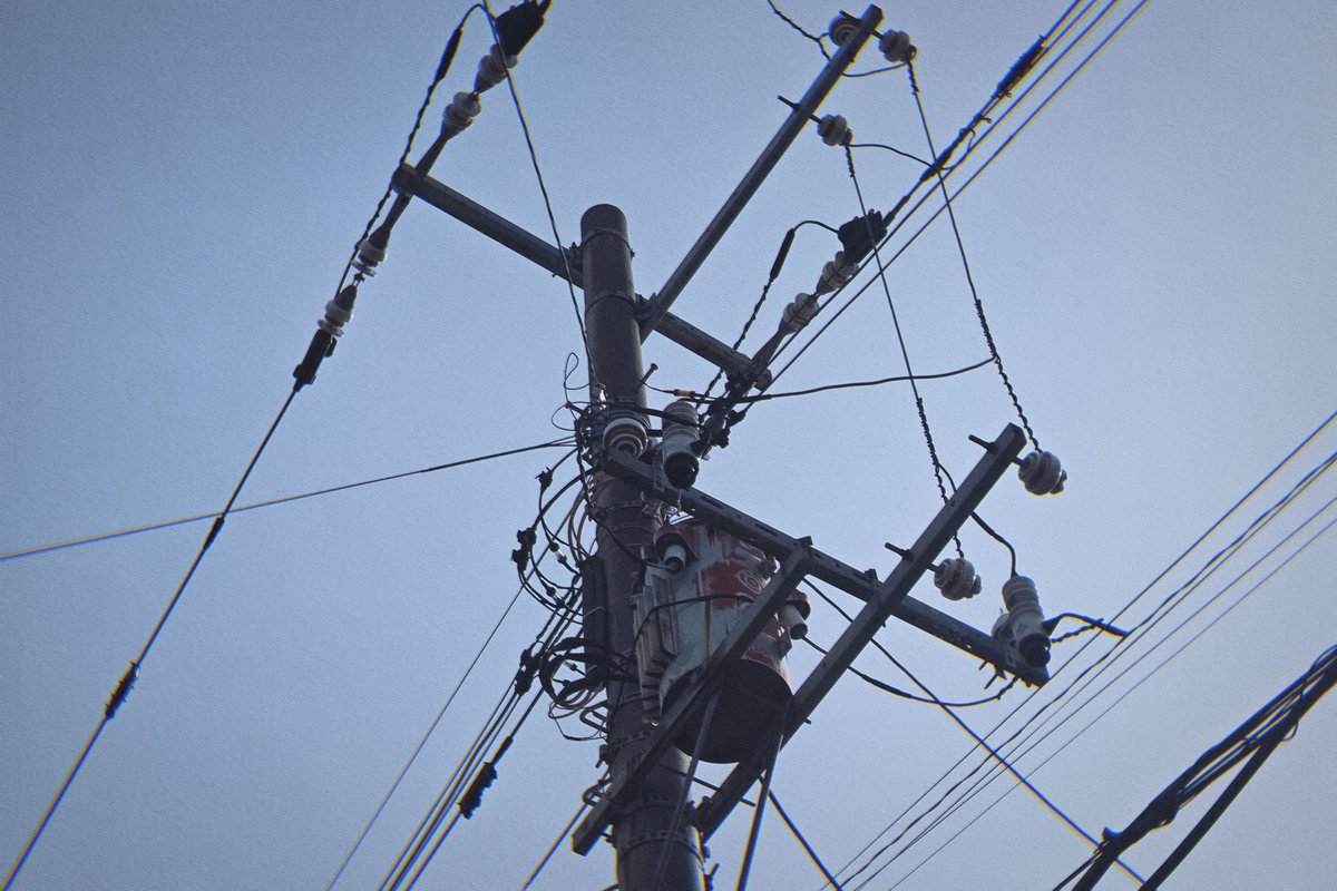 【写真のみ】夏の星座にぶら下がる前に秋が来た。｜やなせ桔梗｜Yanase Kikyo