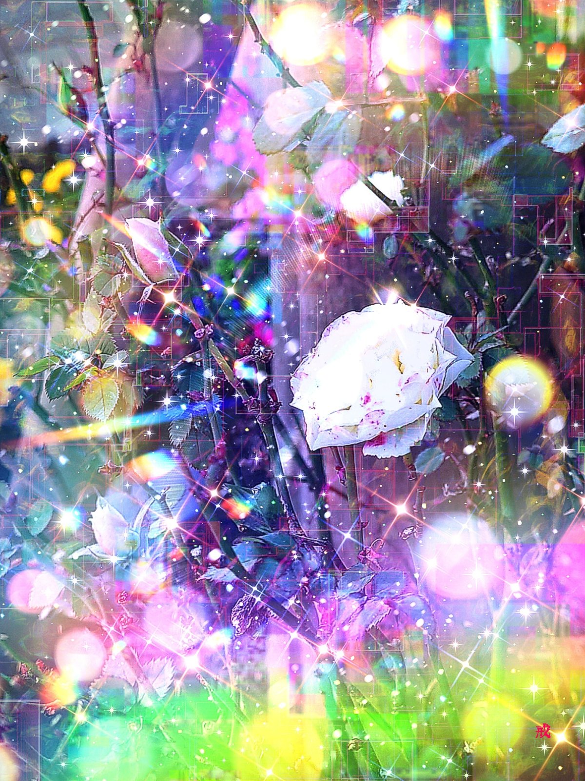 更新しました(^^) 作品: a-1811 白い薔薇への想い White rose perfume｜T_GAI(戒)