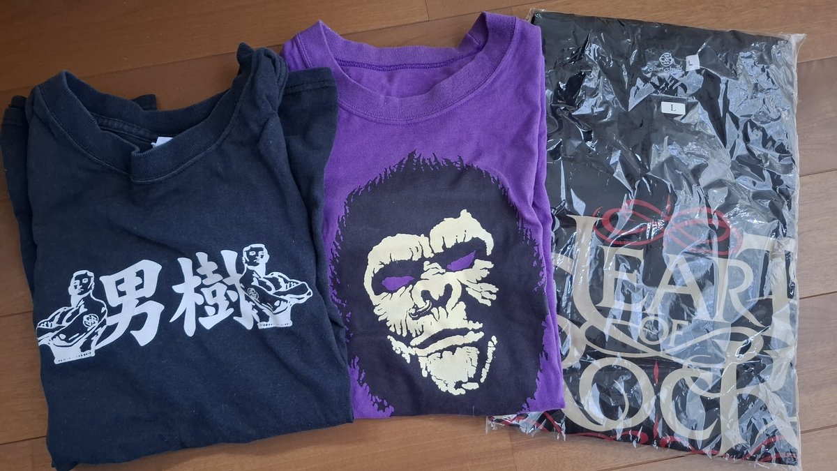 元ファンクラブ会員が語るSIAM SHADEを巡るいざこざについて｜obecha_music