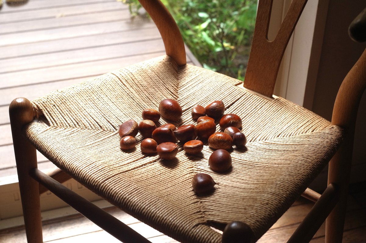 「光でスケッチ」 お裾分け｜Rabi Sato