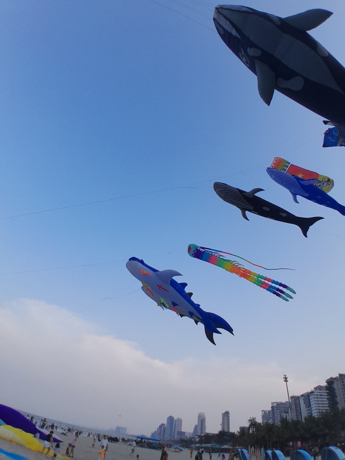 IRONMAN Vietnam(ダナン) たぶんネットで拾えない情報を勝手に解説｜Ryoma Maeda