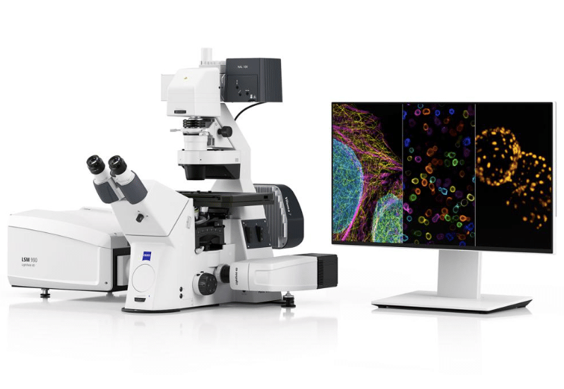 Lab Notes - Using the Confocal Microscope｜ミツバチ