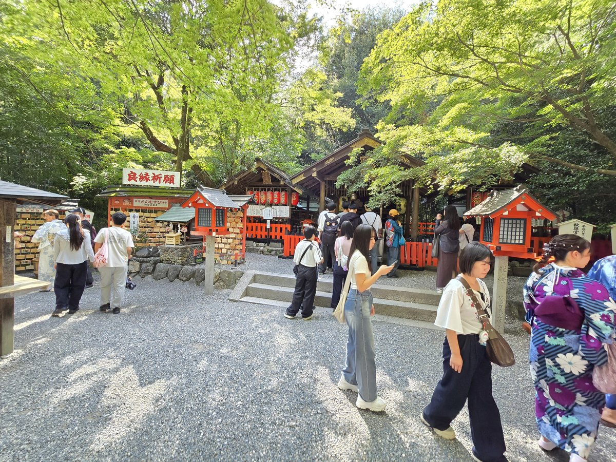 野宮神社（京都市左京区）251002｜akirakojima