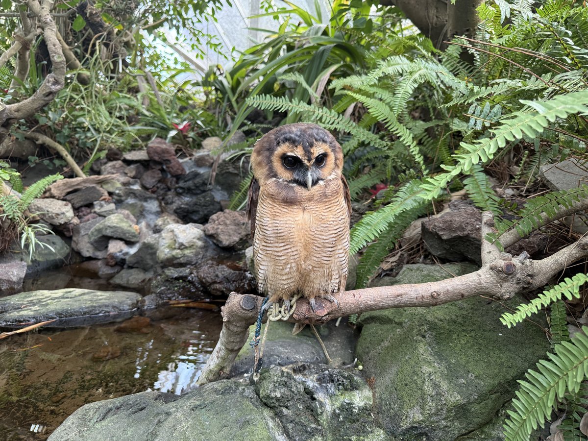 伊東旅行と5人家族の宿事情｜yocco.
