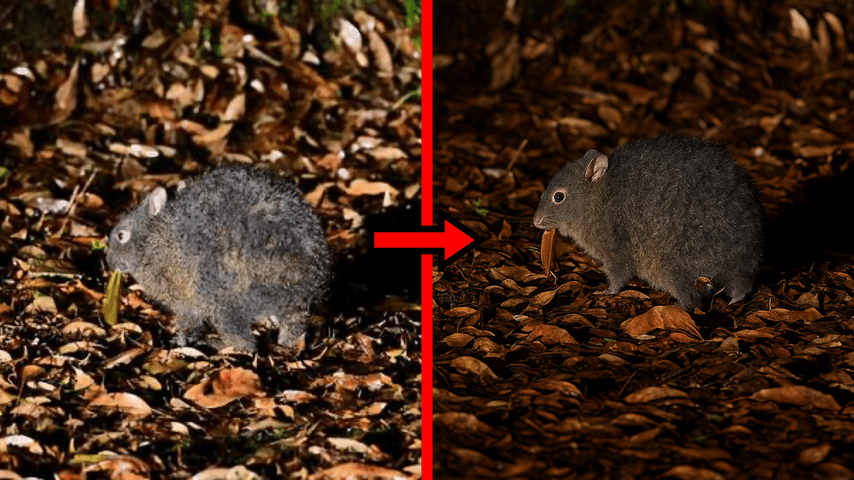 Chat GPTの画像機能がすごすぎる件｜HIRO