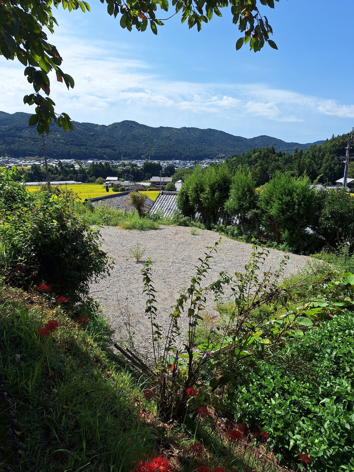 身寄り無し、ごみ屋敷となった「いとこの家の片付け」 その3｜kyoko_baba