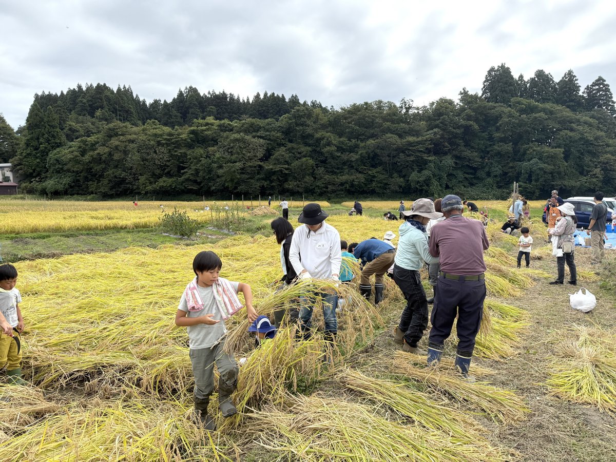 移住者交流会「みんなの田んぼ」〜稲刈り体験〜｜AKITANOSU 秋田市移住ポータルサイト