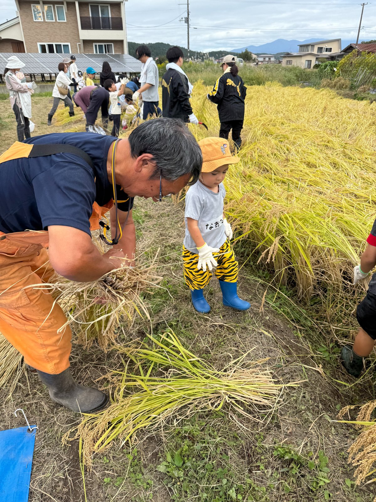 移住者交流会「みんなの田んぼ」〜稲刈り体験〜｜AKITANOSU 秋田市移住ポータルサイト