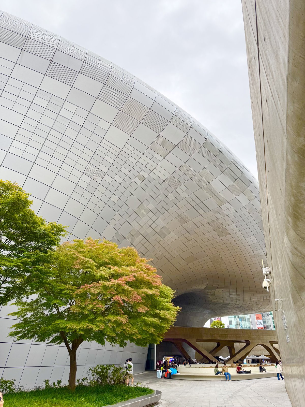 韓国でPayPayは本当に使える？Olive Youngで現地検証｜仕組みも解説・海外eSIMで実際に使ってみた｜Charsound