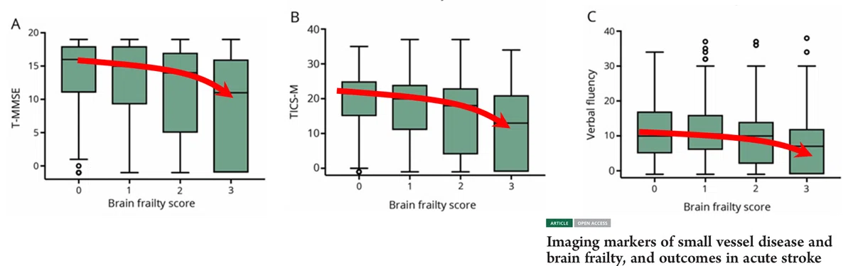 リハビリテーションとbrain frailty ｜J. Rehabilitation