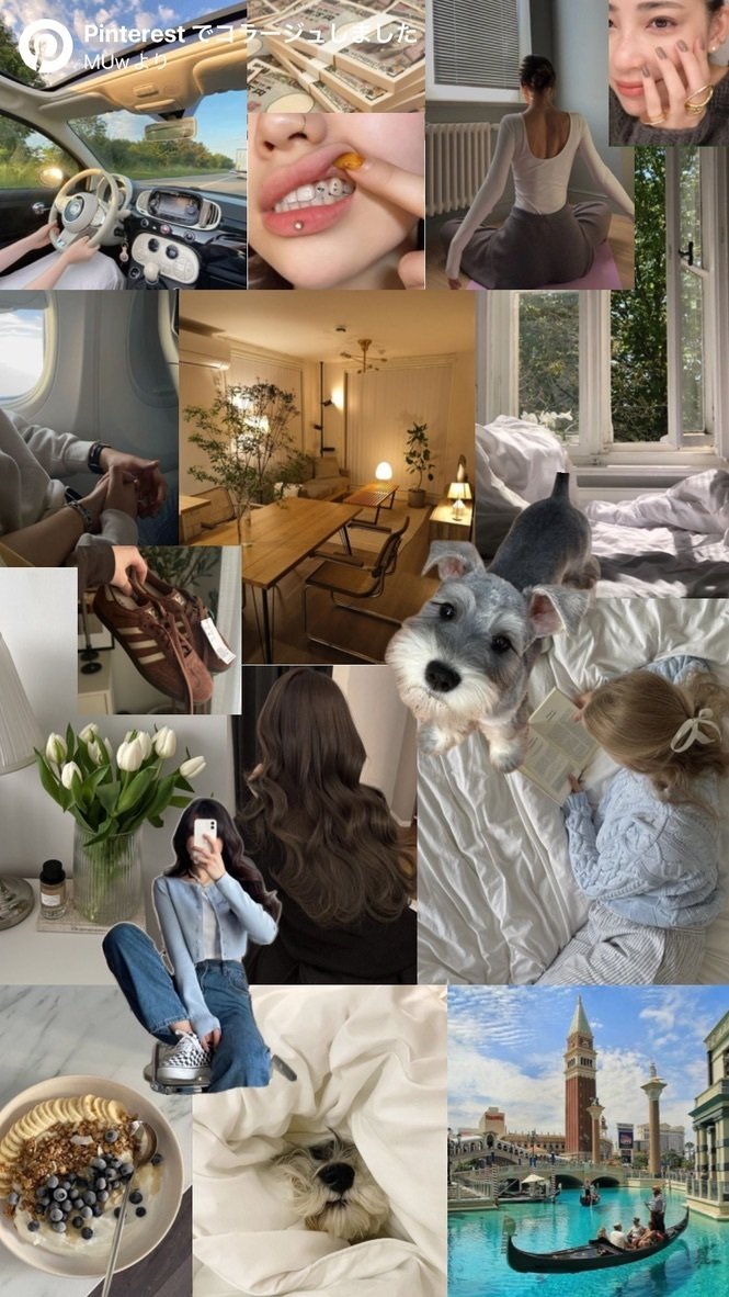 MY DREAM MAP！｜pisu.