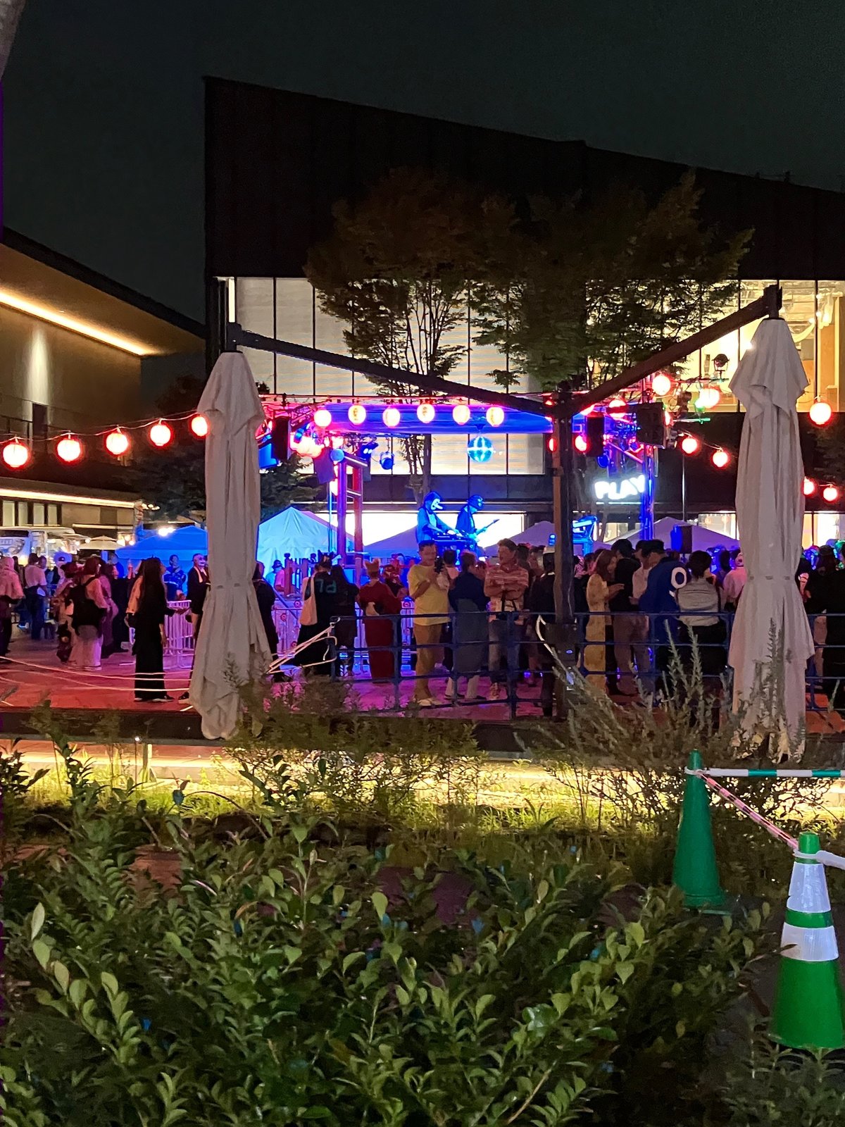 レジン142日目（タッパー型枠へ）｜takami