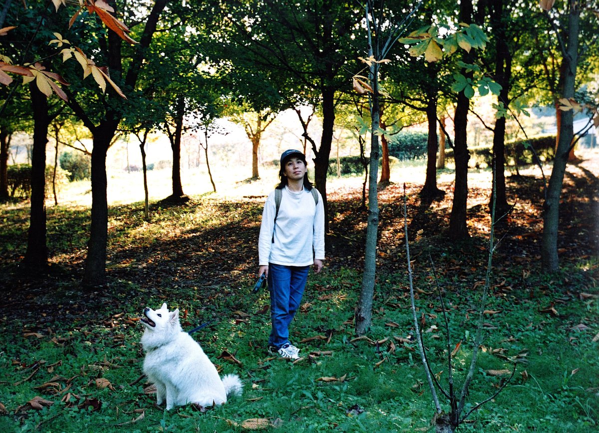 「With a Dog」 気配｜Rabi Sato