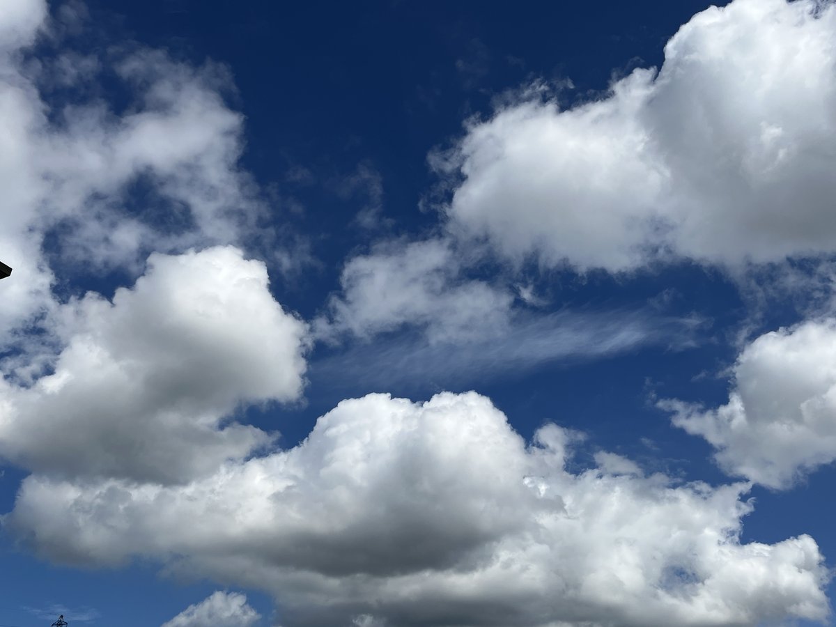 38w4d｜妊婦健診ラスト｜こりこり