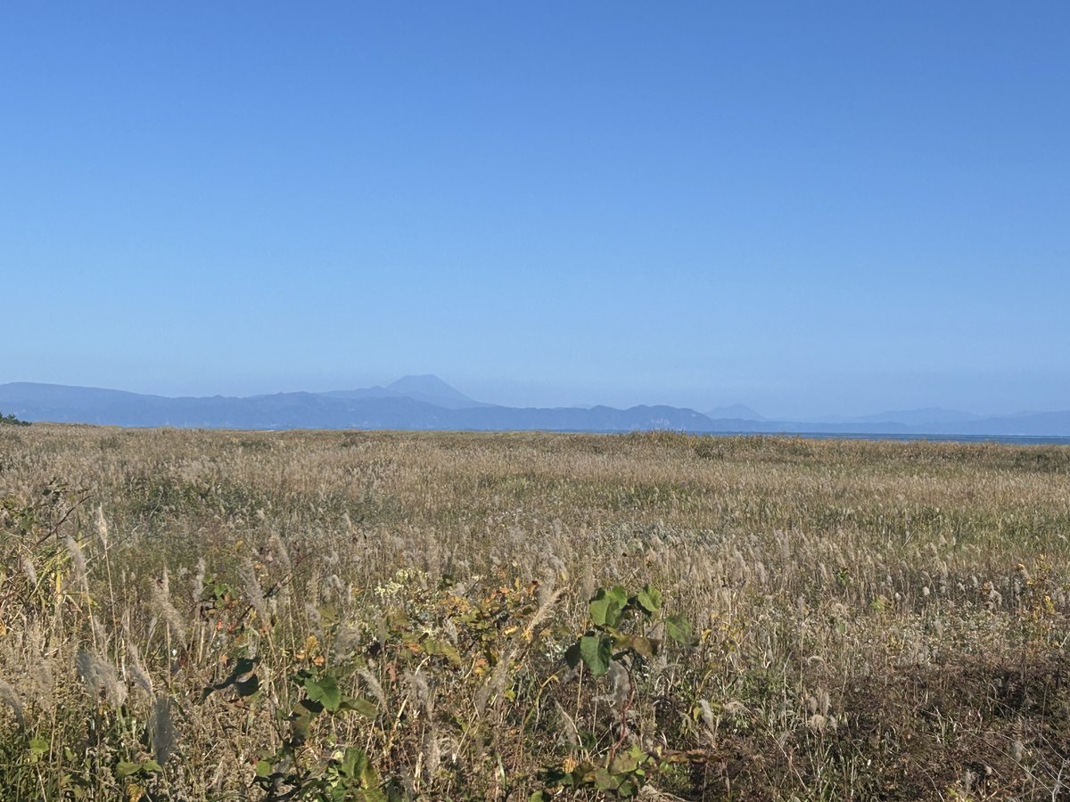 【日本縦断 Day19】 こっちのセリフ｜ハルト