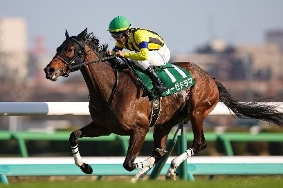 【2025 秋華賞（G1）】～予想篇｜Haya