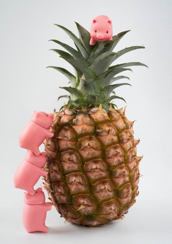 再現写真展「子ブタちゃんワールド」（2017年10月18日～23日）（その3） Ⓜ ｜Dick Sugi