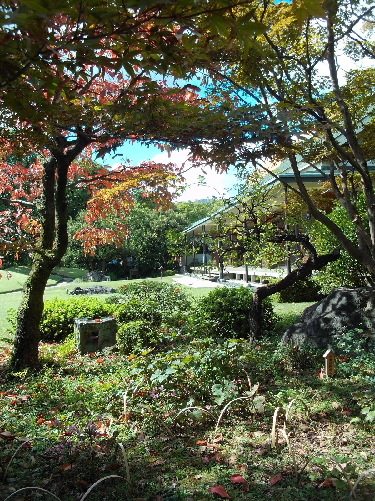 いつ訪れても、何度訪れても美しい。清澄庭園。｜niwa_emon