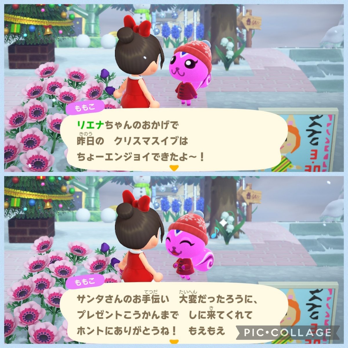 2022/12/25(D927-01) ルナちゃんのお誕生日②｜リエナ