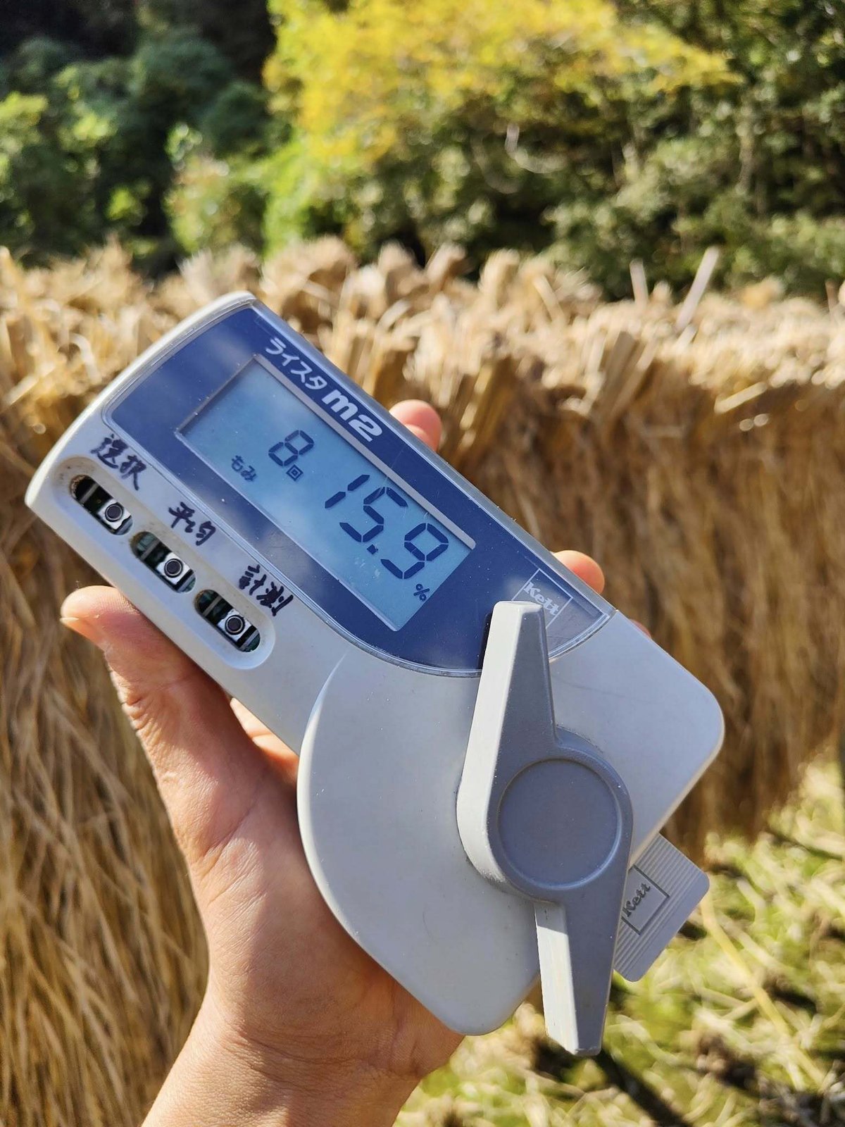 稲の脱穀｜月noco