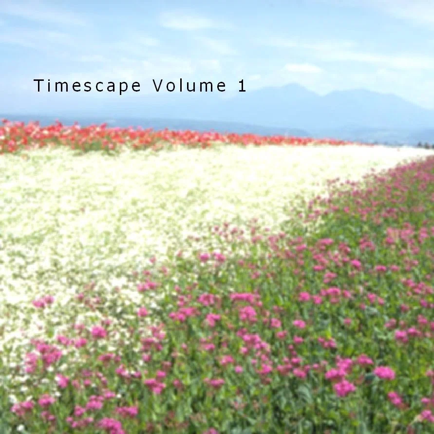 “Timescape”｜時間の景色 ｜Timescape