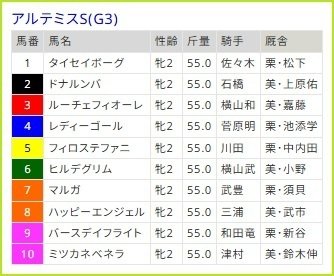 【2025 アルテミスS（G3）】～予想篇｜Haya