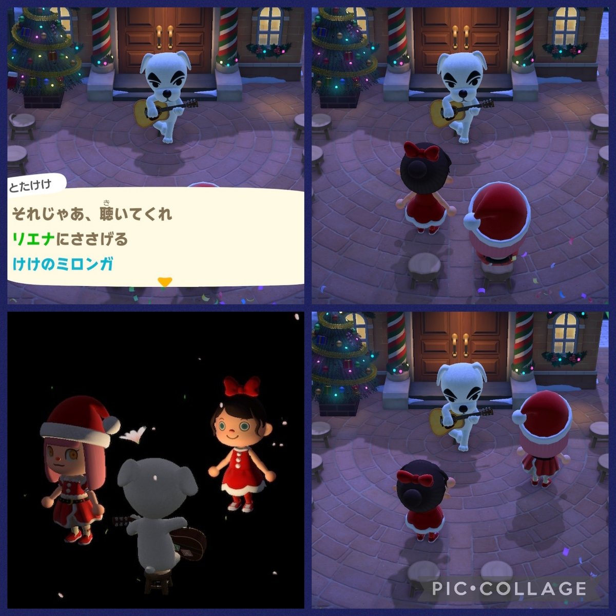 2022/12/25(D927-05) ルナちゃんのお誕生日⑤｜リエナ