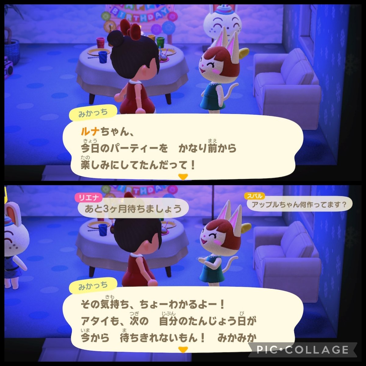 2022/12/25(D927-05) ルナちゃんのお誕生日⑤｜リエナ