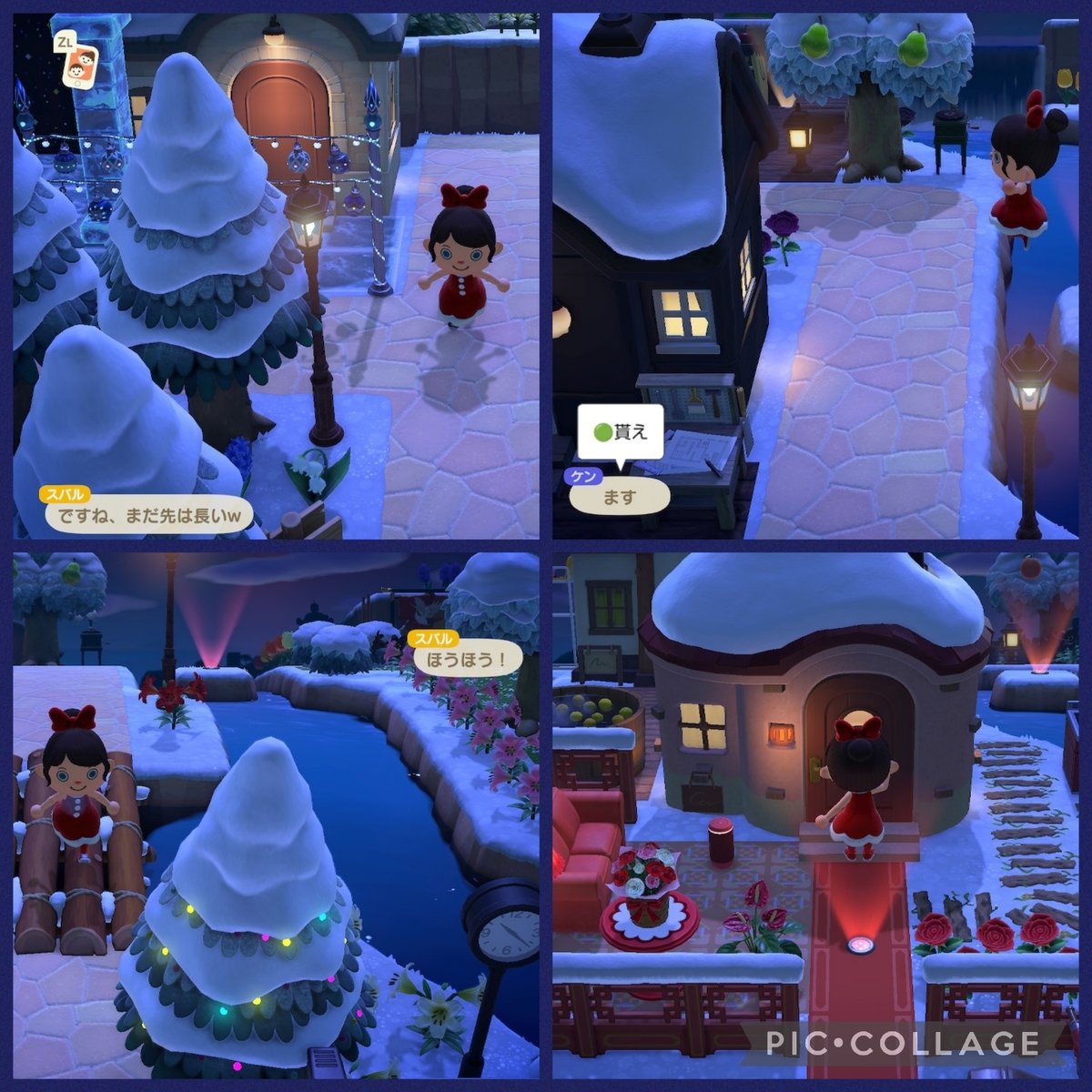 2022/12/25(D927-05) ルナちゃんのお誕生日⑤｜リエナ