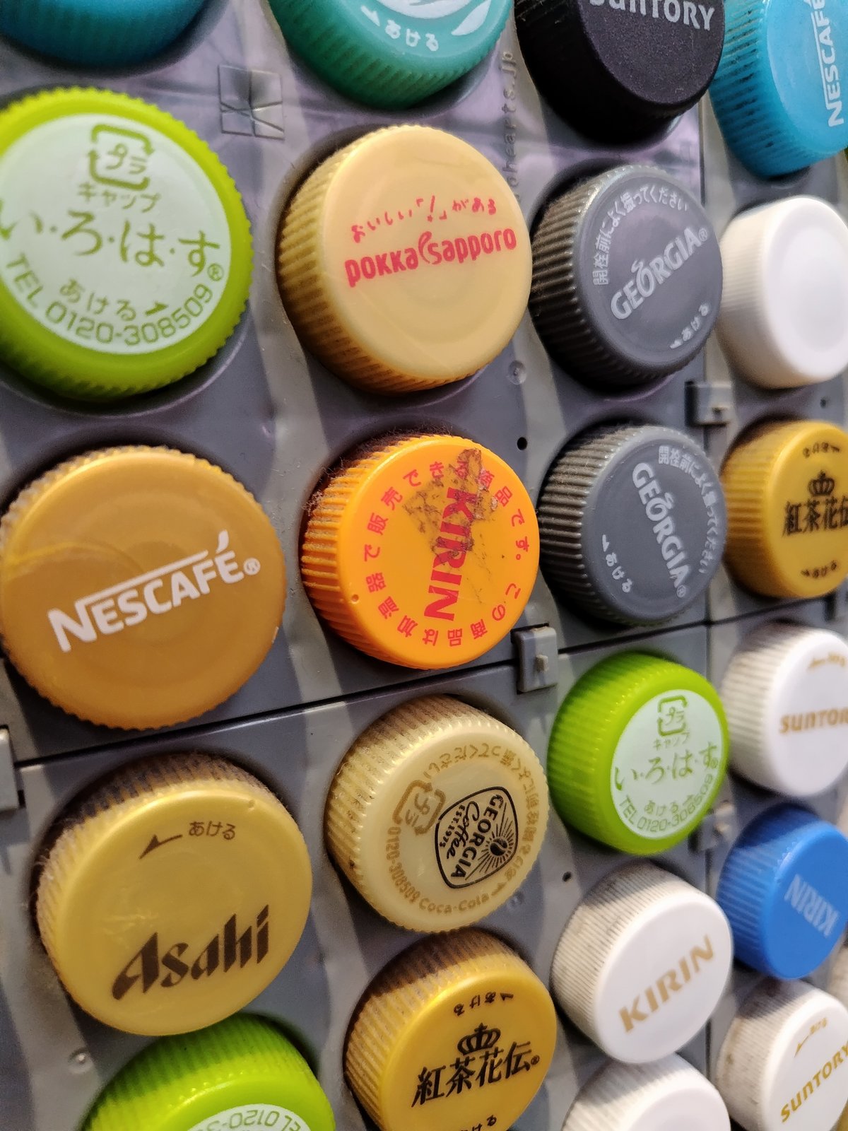 いざ 鎌倉スワニーへ｜hirom