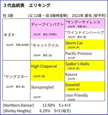 【2025 菊花賞（G1）】～予想篇｜Haya