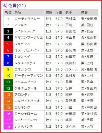 【2025 菊花賞（G1）】～予想篇｜Haya