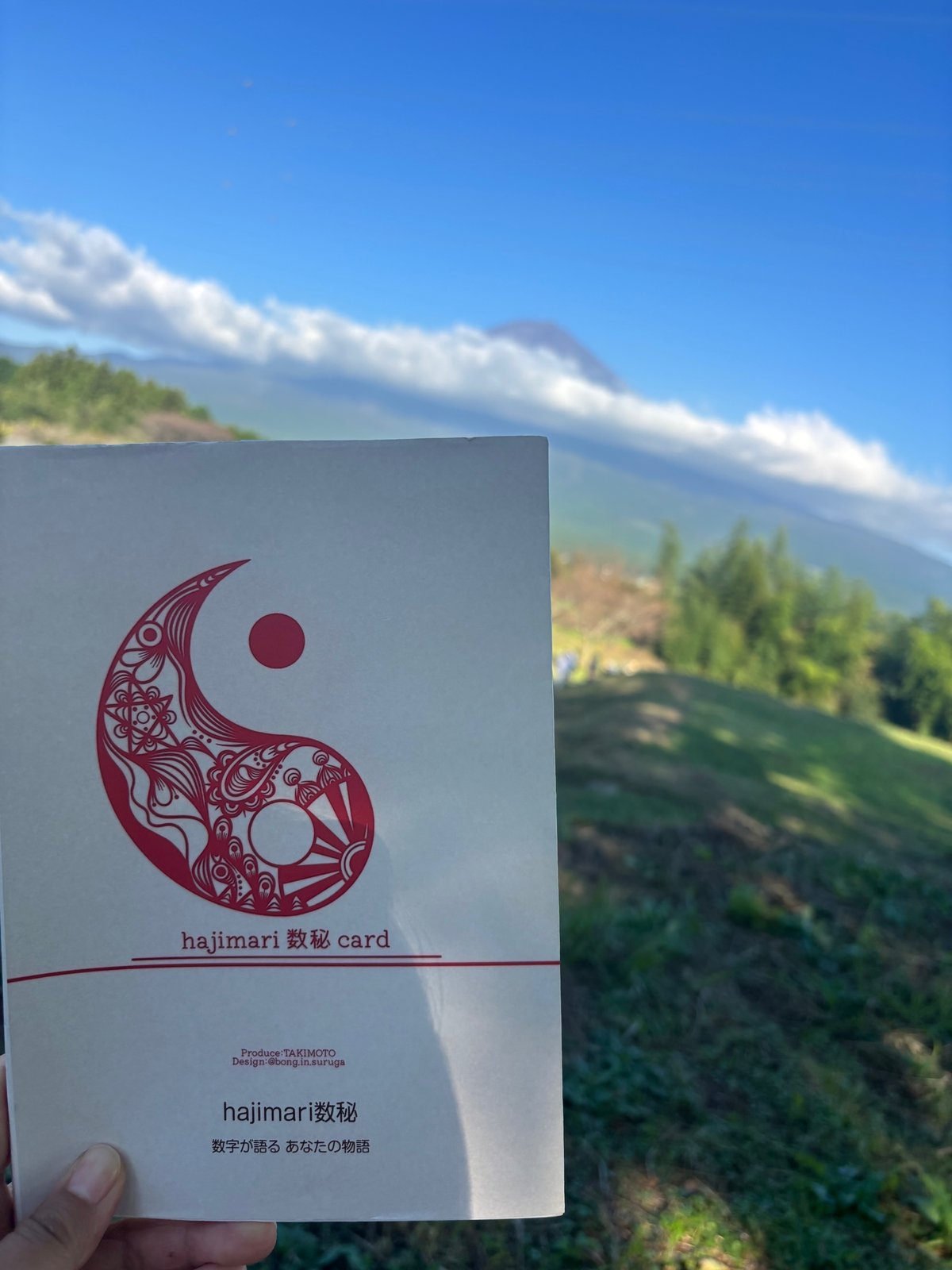 🌿 東洋医学 × hajimari数秘 🌿 〜 女性の体・心・魂のリズムを紐解く 〜｜chouchou*