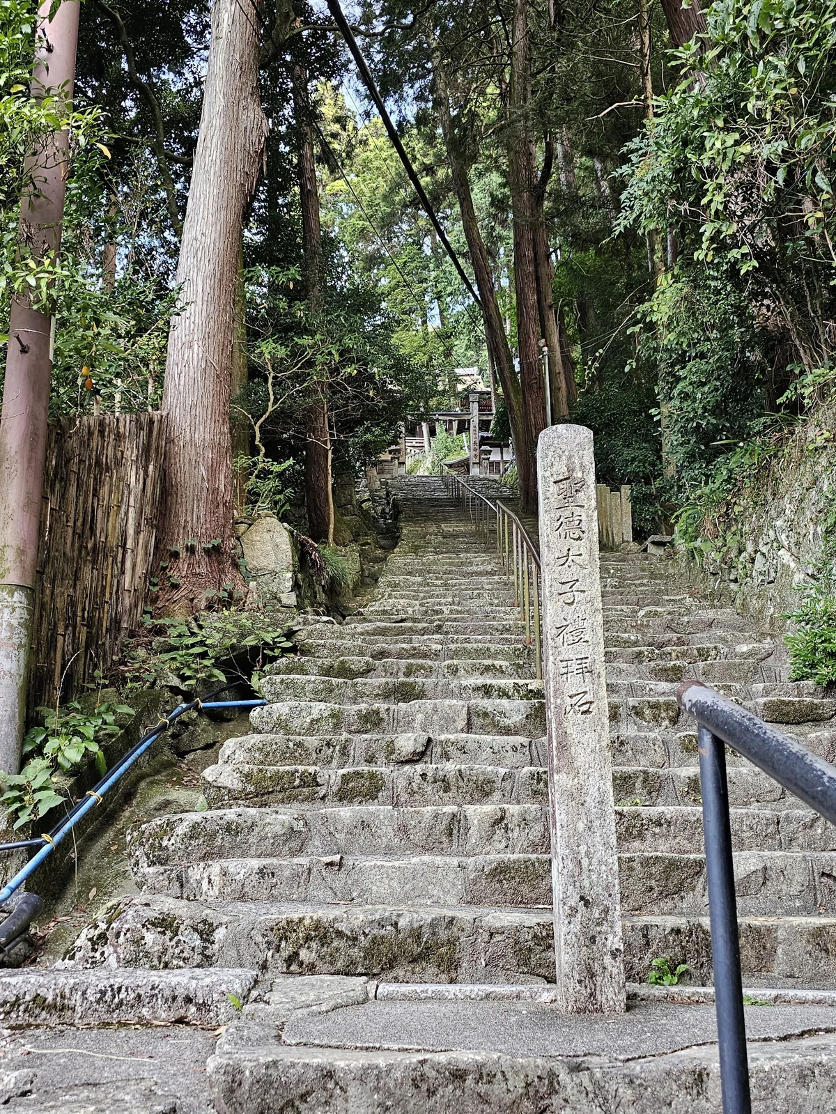 社寺散歩｜長命寺｜滋賀・近江八幡市｜808段の石段を登りきると長生きできる？｜xicano