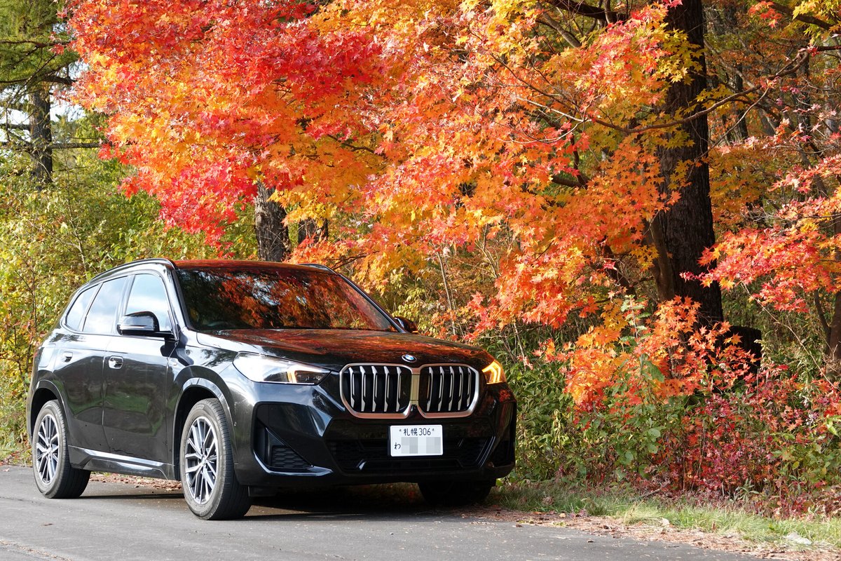 錦を映す BMW X1｜やぶ悟空