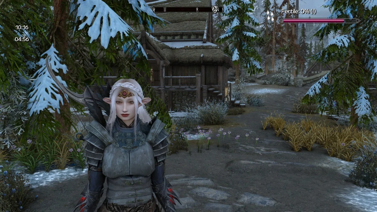 【Skyrim SE】Jiayeテスト版Community Shaders 1.4.6 AIO(CommunityShaders_AIO ...